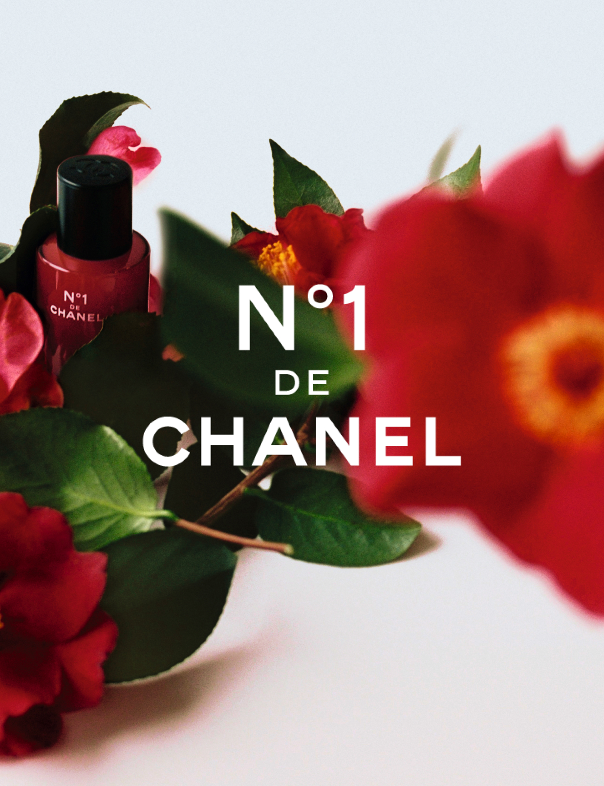 Newsletter form collection | CHANEL